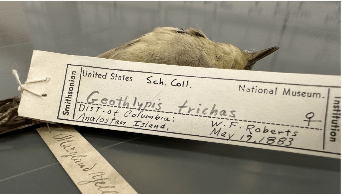 Why we digitize: Making collections accessible & visible – Biodiversity ...